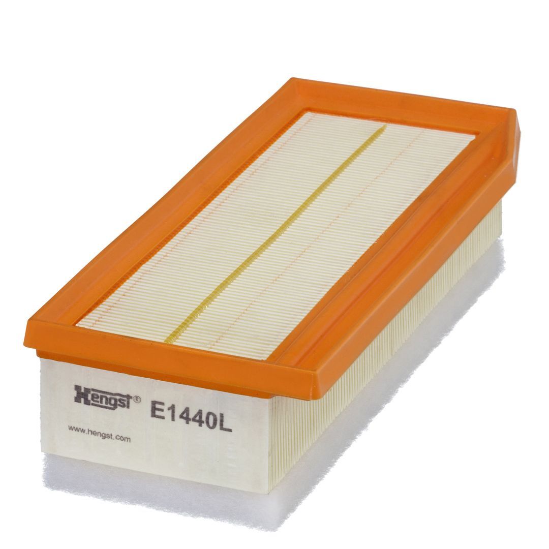 Air Filter - Renault